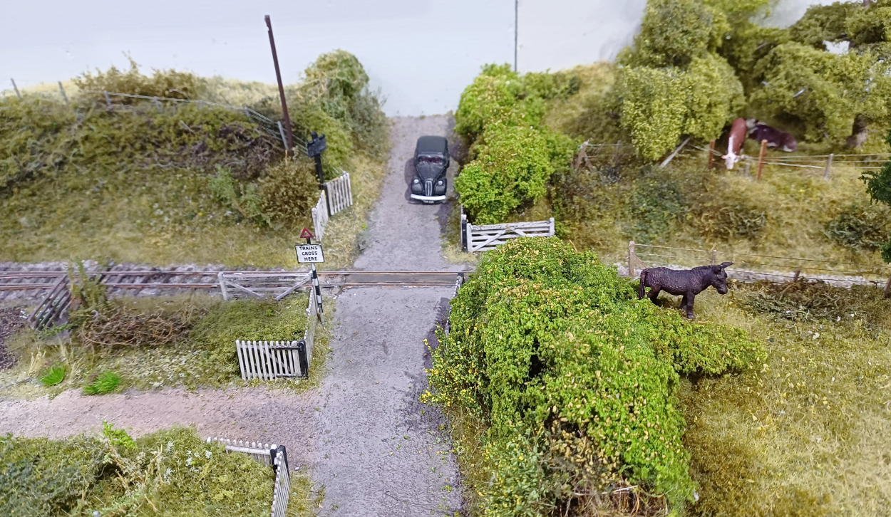 009 Society 50th Birthday Exhibition – Steve's Narrow Gauge Railway ...