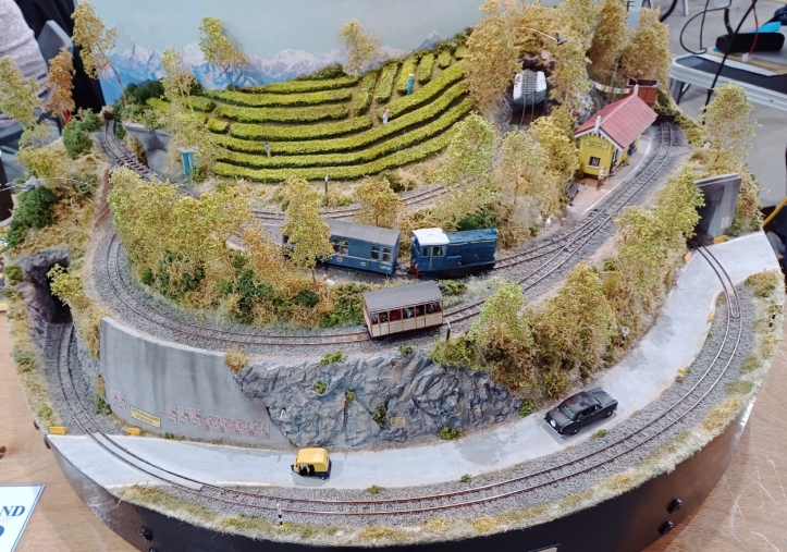 009 Society 50th Birthday Exhibition – Steve's Narrow Gauge Railway ...